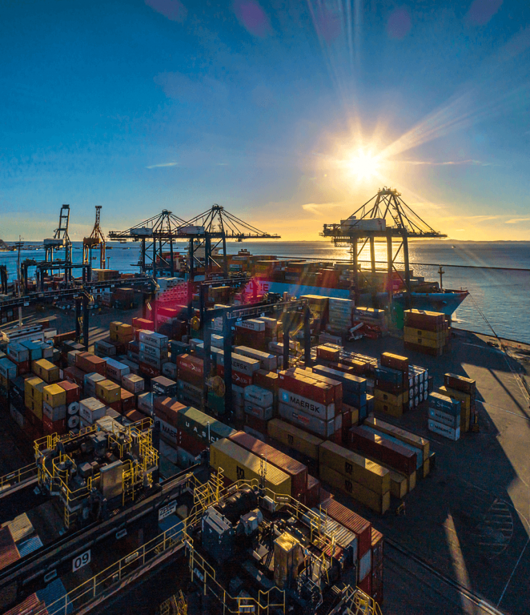 About the terminal | Wilson Sons